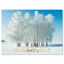 Personalized Christmas Cards, Card Packs | Current Catalog